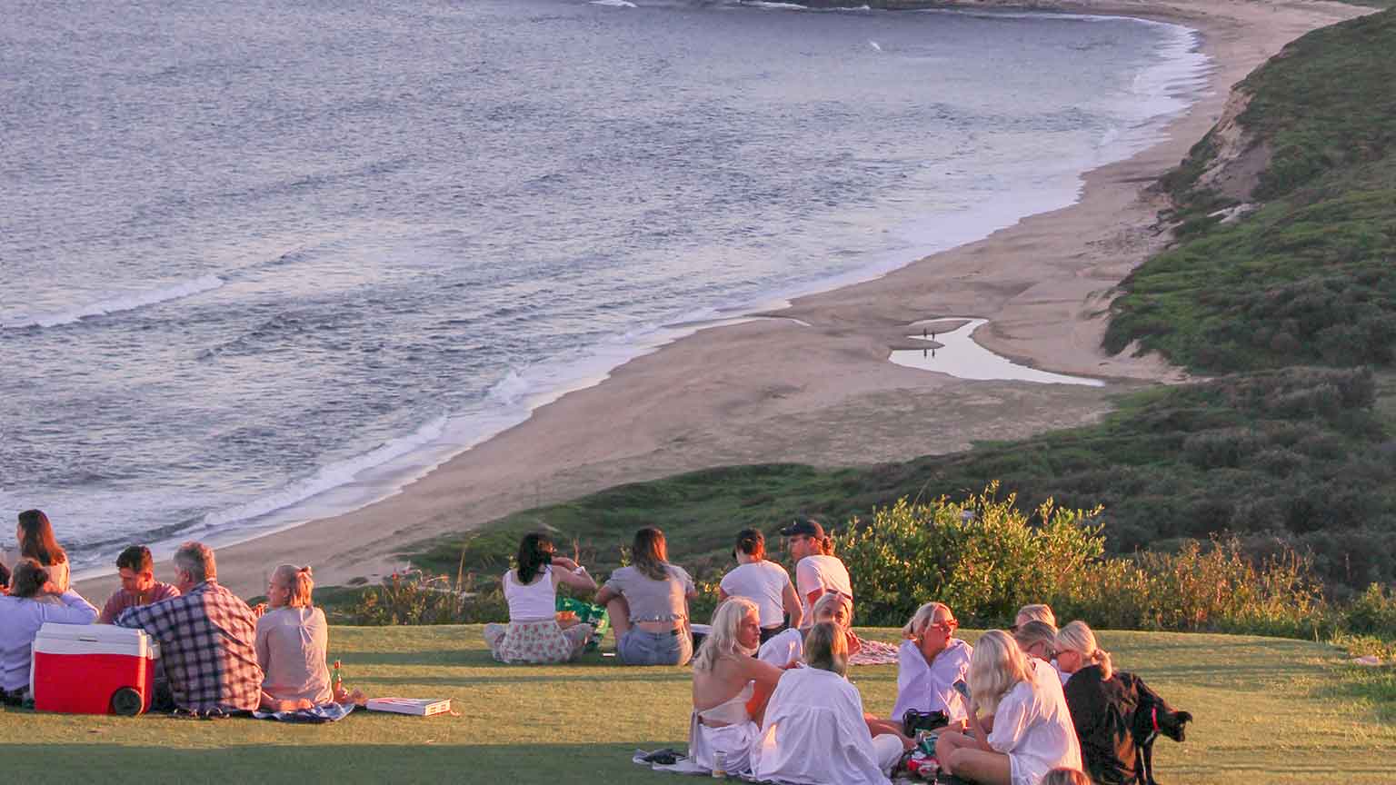 【ホエールウォッチング】ニューカッスルの高台ベストスポット5選 - Newcastle Sky